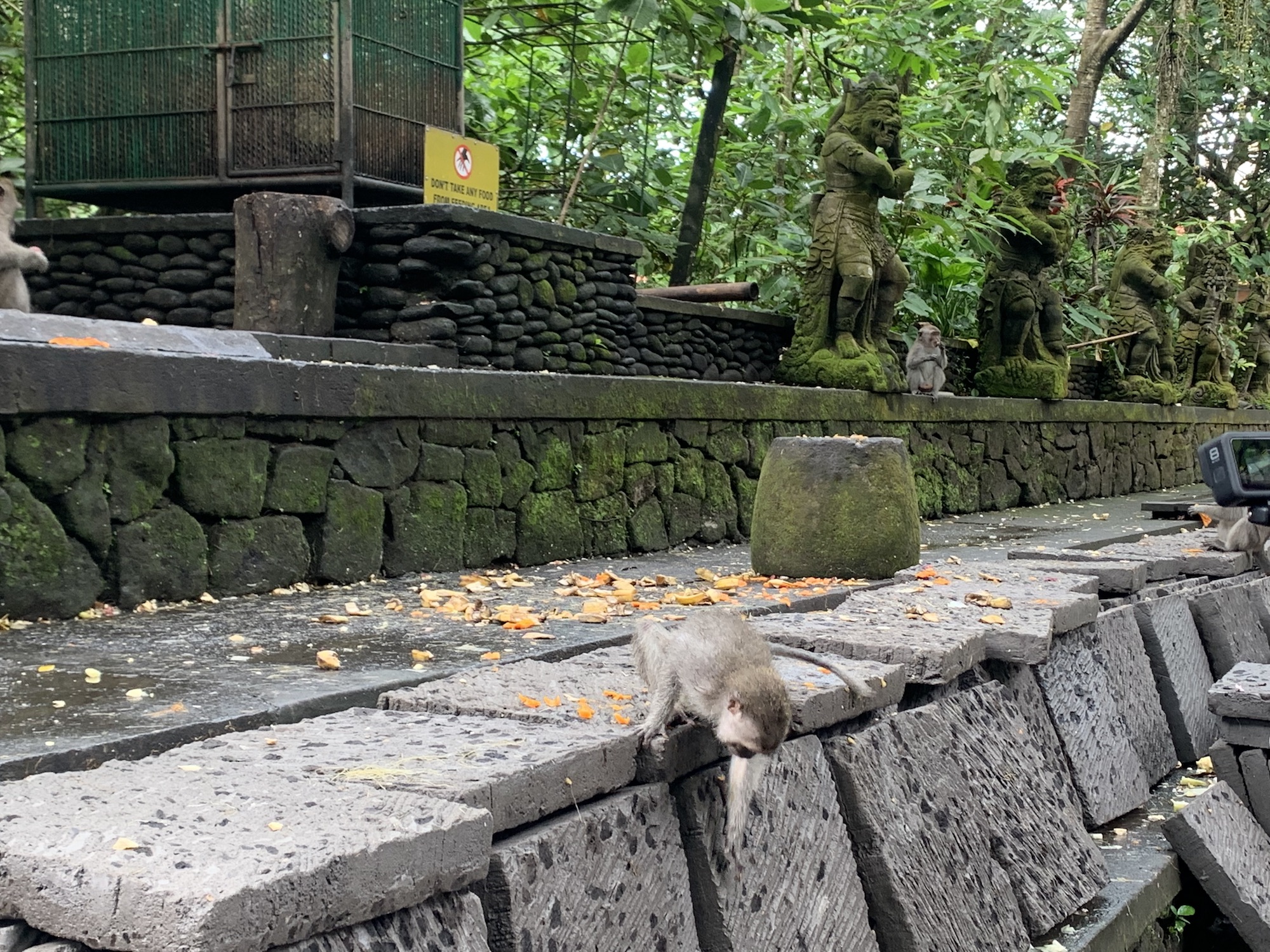 Trải nghiệm thiên nhiên tại Bali cùng gia đình • purna
