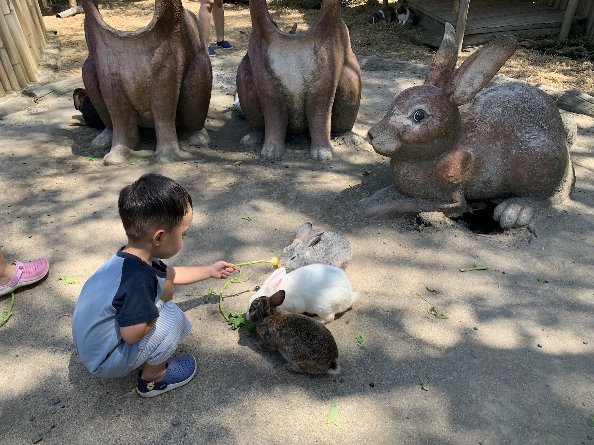 Trải nghiệm thiên nhiên tại Bali cùng gia đình • purna